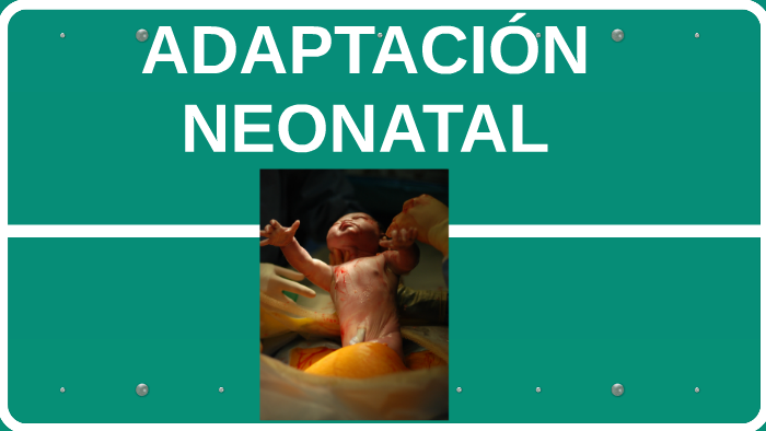 ADAPTACIÓN NEONATAL by Meli Rupes on Prezi