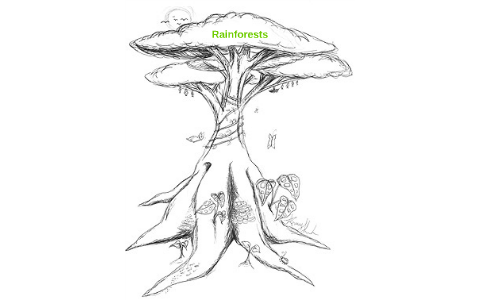 The amazon by Dylan Parr on Prezi