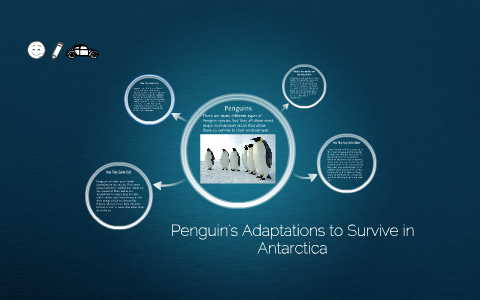 Penguin Adaptations by justin evans on Prezi