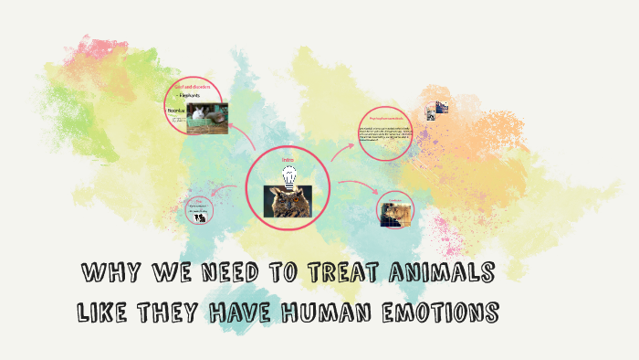Why we need to treat animals like they have human emotions by Angette ...