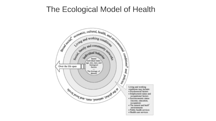 The Ecological Model of Health by becky nguyen on Prezi