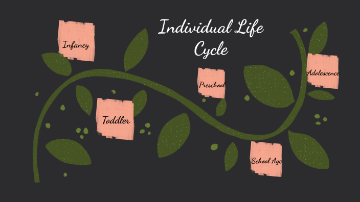 Individual Life Cycle by ELENA MENENDEZ on Prezi