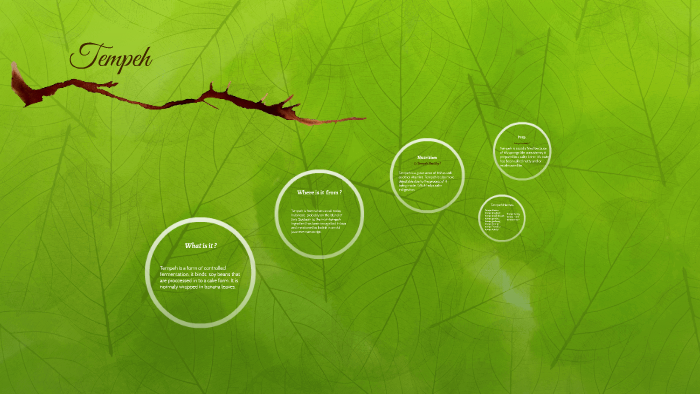 Tempeh by Kaitlyn Mooney on Prezi