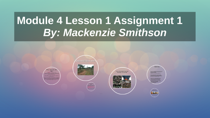 Module 4 Lesson 1 Assignment 1 by Mackenzie Smithson on Prezi