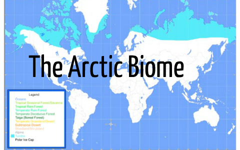The Arctic Biome by zack breuls on Prezi