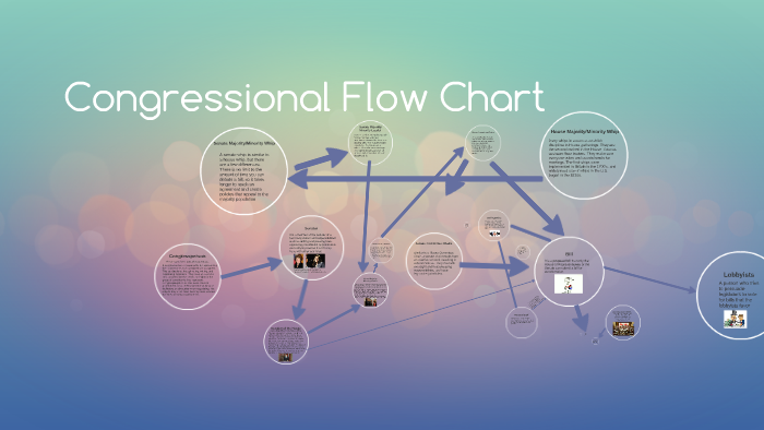 Congressional Flow Chart by Alex Ruiz on Prezi
