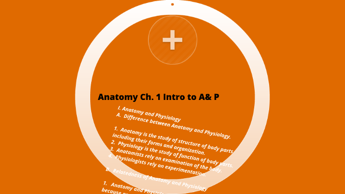 Anatomy Ch 1 by JD Huitt on Prezi