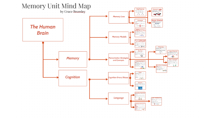 Memory Unit Mind Map by Grace Bromley on Prezi
