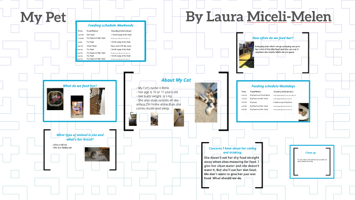My Pet by Laura Miceli-Melen on Prezi