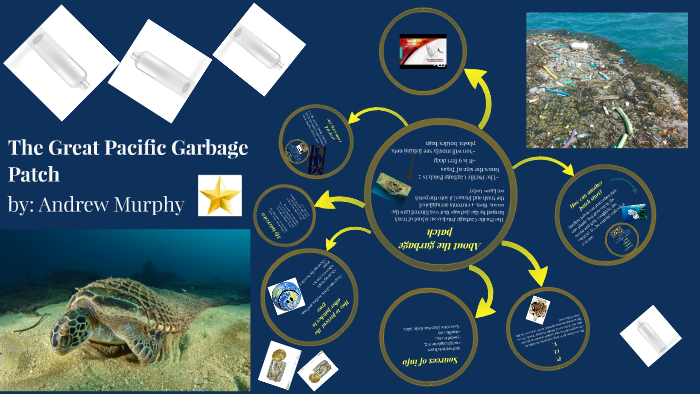 the Great Pacific Garbage Patch by Meagan Bradford on Prezi