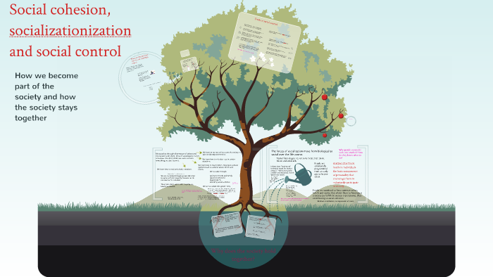 Intro6.1: Socialization and Social Control by Piotr Konieczny on Prezi