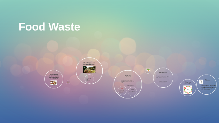 Effects of Food Waste by Karen Meyer