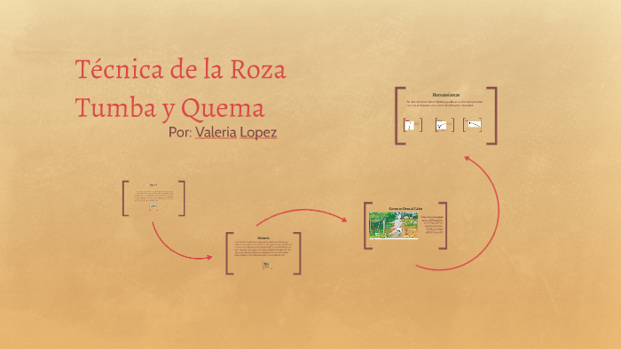 Técnica de la Roza Tumba y Quema by Valeria Lopez on Prezi