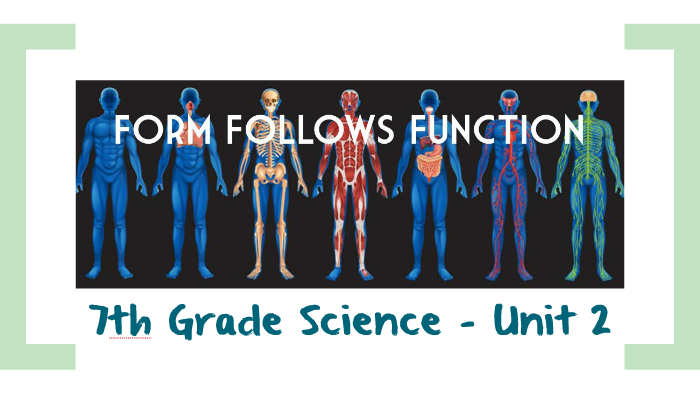 2 - Form Follows Function by Michelle Munn on Prezi