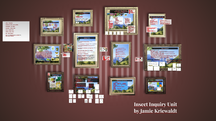 Insect Inquiry Unit by Jamie Kriewaldt