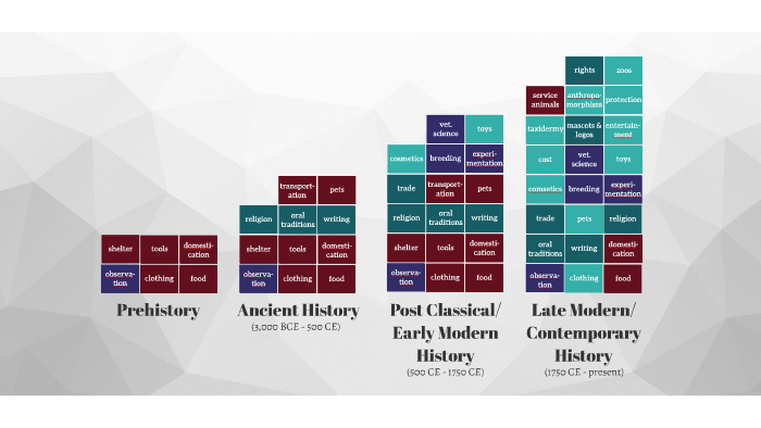 How has our relationship with animals changed over time? by Laura Sousa ...