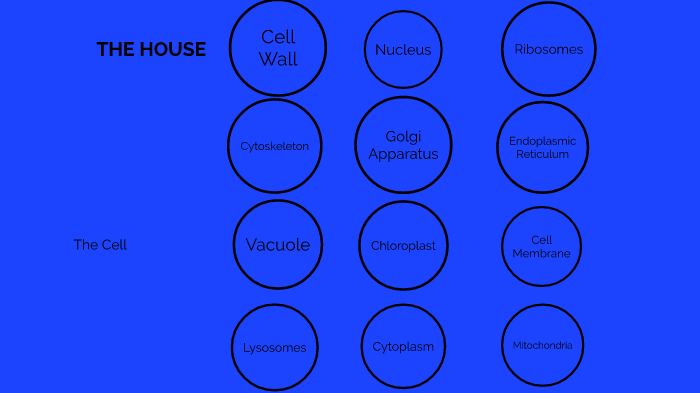 Cell to House Analogy by Nashawn Leftridge on Prezi