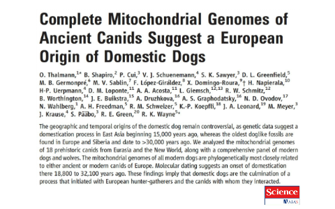 Complete Mitochondrial Genomes of Ancient Canids Suggest a E by on ...