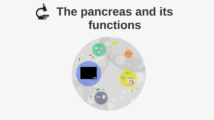 The pancreas and its functions by Julia Julia1 on Prezi