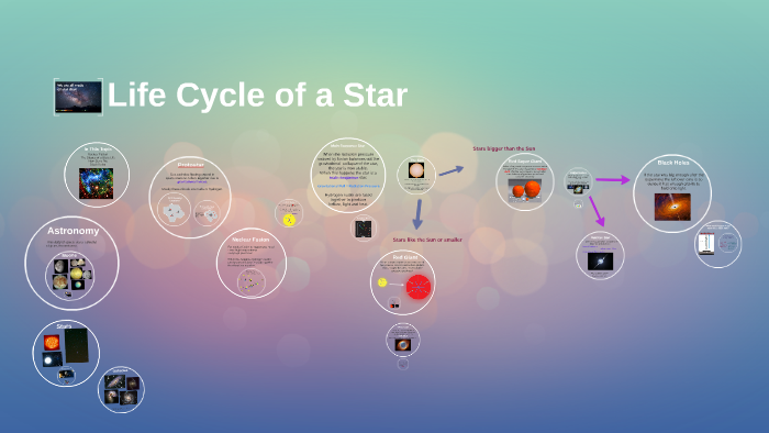 Life Cycle of a Star by Katie Turnbull