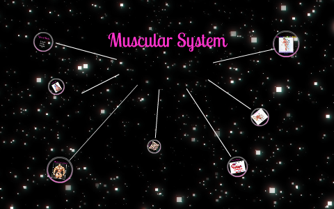 Muscular System HTCHS by Nicole Rittenour on Prezi