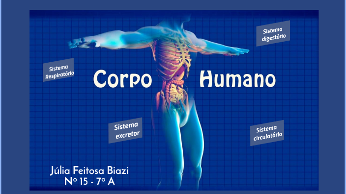 Mapa Corpo Humano by Danielle Biazi on Prezi
