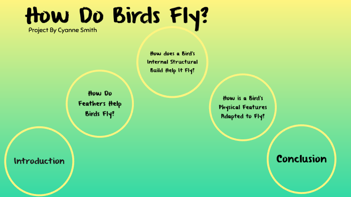 How Do Birds Fly? by Cye Smith on Prezi