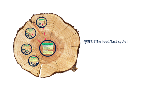 생화학(The feed/fast cycle) by hyerin Park on Prezi