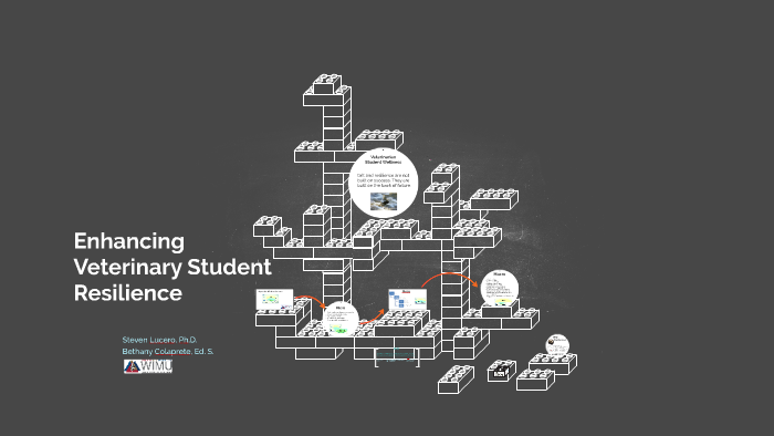 Enhancing Veterinary Student Resiliency by Bethany Colaprete on Prezi