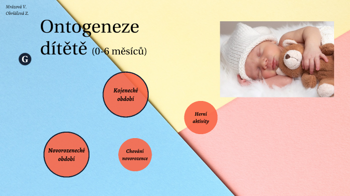 Ontogeneze dítěte by Valentýna Mrázová on Prezi