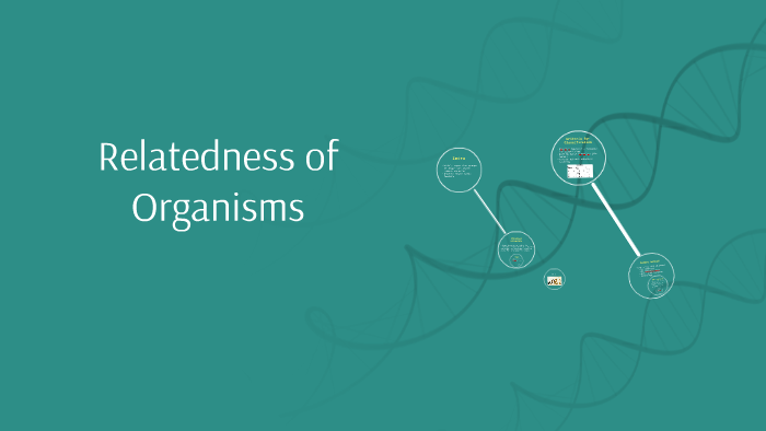 Relatedness of Organisms by on Prezi