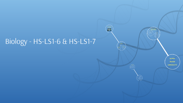 Biology - HS-LS1-6 & HS-LS1-7 by Cynthia Newman