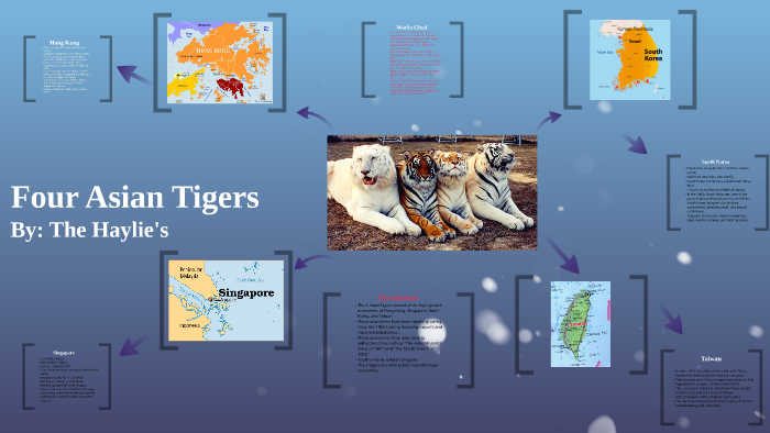 Four Asian Tigers by Halie Asebes on Prezi
