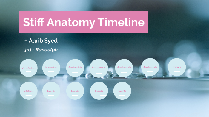 Stiff Anatomy Timeline by Aarib Syed on Prezi