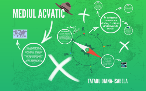 MEDIUL ACVATIC by Tataru Diana Isabela on Prezi