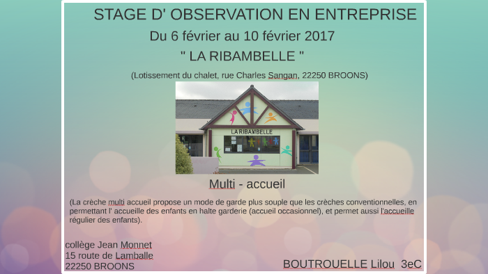 STAGE D'OBSERVATION EN ENTREPRISE by L B on Prezi