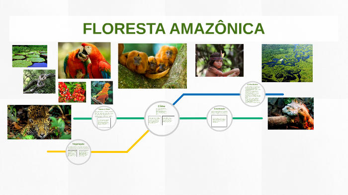FLORESTA AMAZÔNICA by Leonardo Frias on Prezi