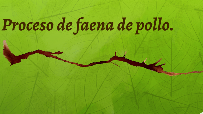 Proceso de faena de pollo. by Sasha Castillo on Prezi