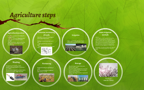 Agriculture steps by on Prezi