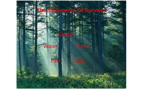 The five elements of survival by Alondra Rangel on Prezi