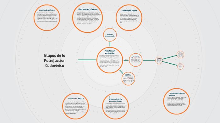 Etapas de la Putrefacción Cadavérica by Francisco Muss l. on Prezi