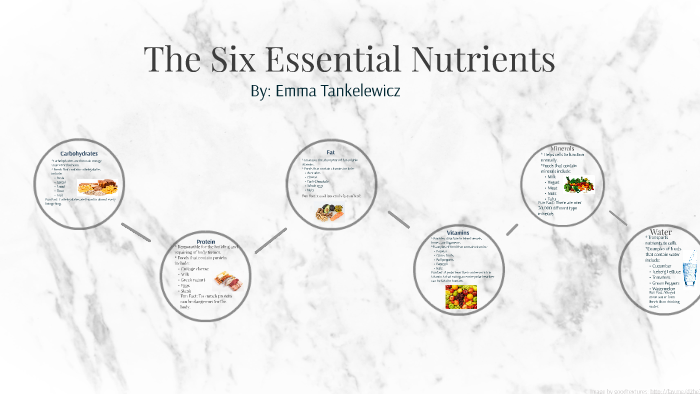 The Six Essential Nutrients by Emma Tankelewicz on Prezi