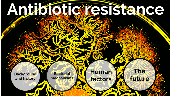 Antibiotic resistance by Clarris Paul on Prezi
