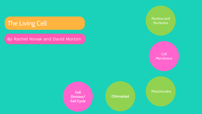 PROJECT – THE LIVING CELL POSTER by David Morton on Prezi