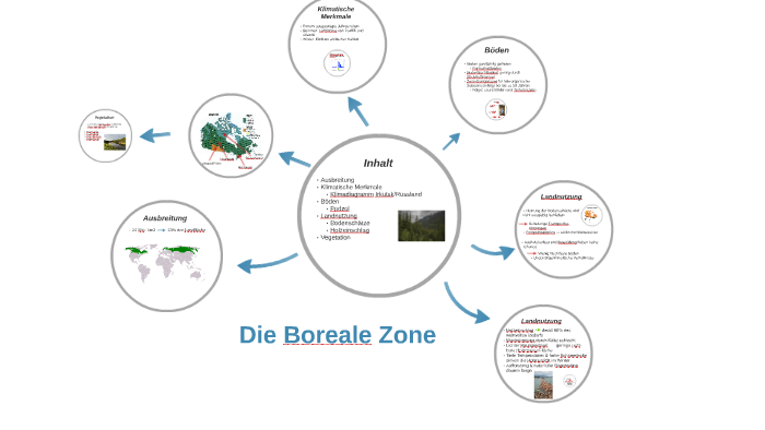 Die Boreale Zone by lina stahlmann on Prezi