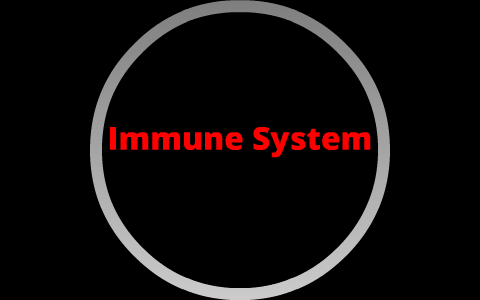 Immune System by Megan Geddes on Prezi