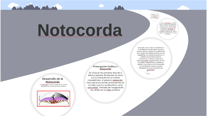 Notocorda by Cesar Alberto López Campoy on Prezi