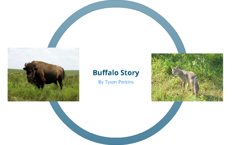The Coyote and the Buffalo by Tyson Perkins on Prezi