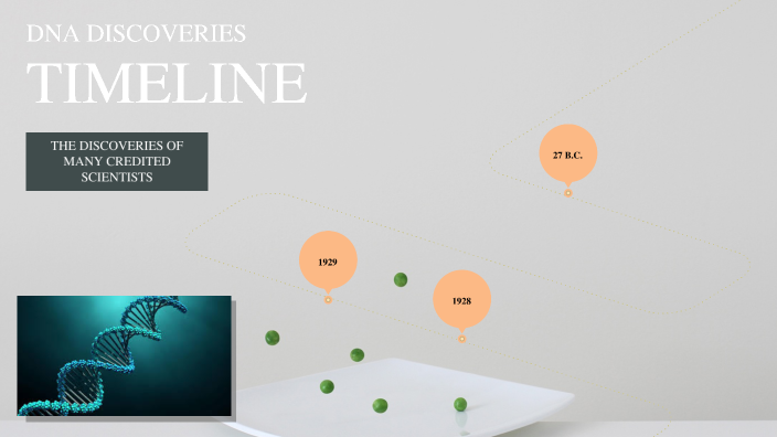DNA Discoveries Timeline by evie coursey on Prezi
