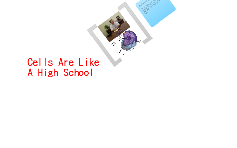 Cells Are Like A Highschool by Eli Belden on Prezi